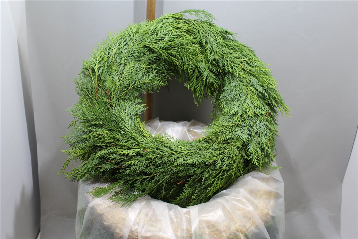 Stock Flowers Langhus